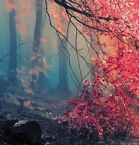 Guiding Your Partner In Sex