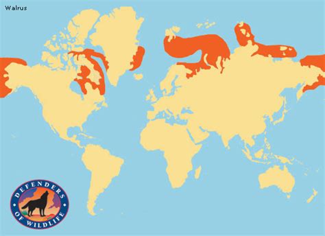 Range Map Walrus