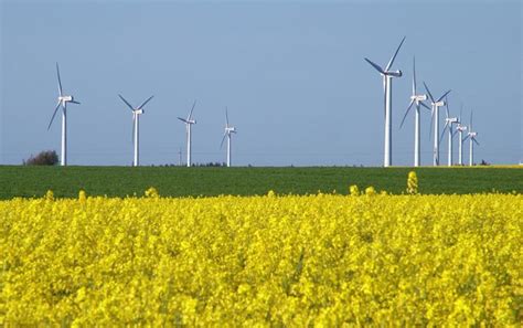 Denmark The Worlds Leading Wind Power Nation Daily Scandinavian