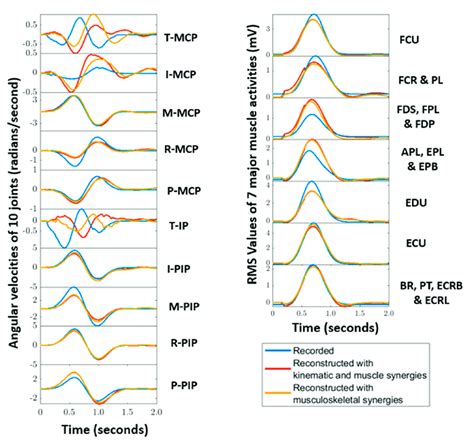Reconstructions Red With Kinematic And Muscle Synergies Green With
