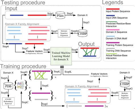 Training And Testing Classification Models For Predicting Download