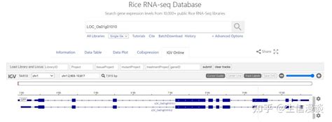 植物基因的时空表达及胁迫处理可视化网站 知乎