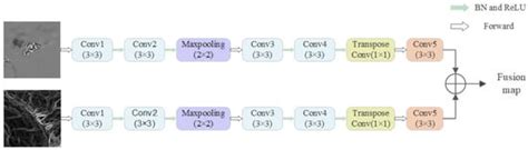 Sensors Free Full Text A Deep Learning Based Algorithm For