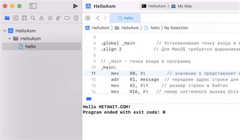 Ассемблер Arm64 Первая программа в Xcode