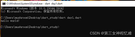 Flutter学习笔记（3）·初识dart语言第三女神程忆难的博客 Csdn博客