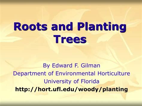 PPT Roots And Planting Trees PowerPoint Presentation Free Download ID