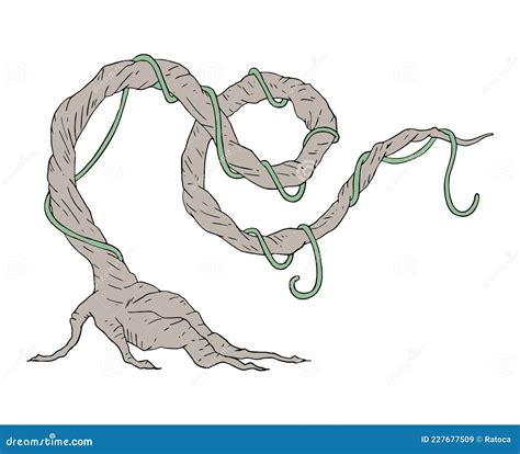 Fantasy Tree Trunk Draw Stock Vector Illustration Of Plant
