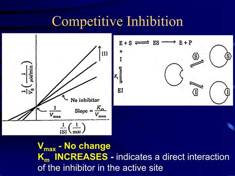 Enzyme Kinetics How It Works Michelis Menten Equation Ppt