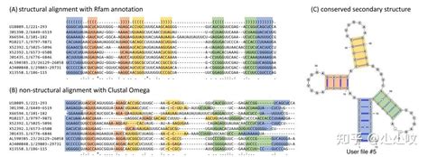 热点综述 Rna二级结构预测和rna药物发现的机器学习和深度学习综述 知乎