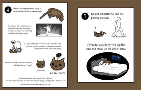 How To Tell If Your Cat Is Plotting To Kill You By The Oatmeal Matthew Inman Paperback