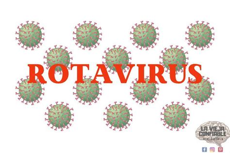 4 Rotavirus La Vieja Confiable Medicina Udocz