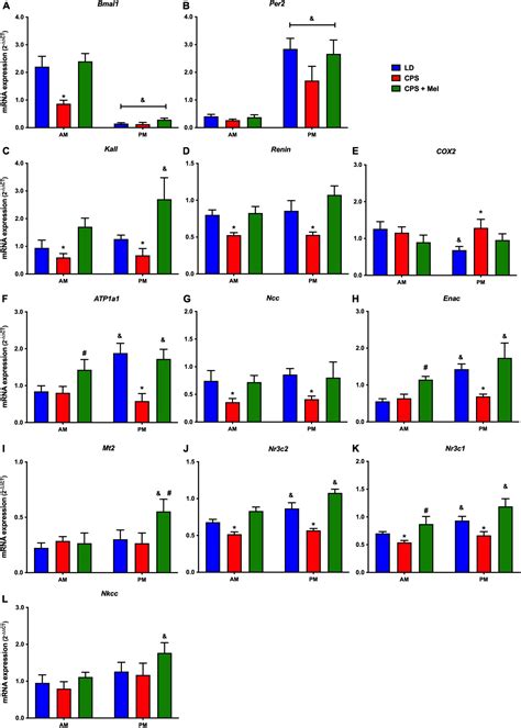 Frontiers Maternal Melatonin Treatment Rescues Endocrine Inflammatory And Transcriptional