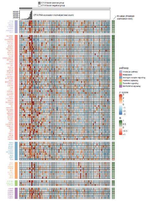 Rna Expression Heatmap Of Six Cancer Specific Pathways Rna Expression Download Scientific