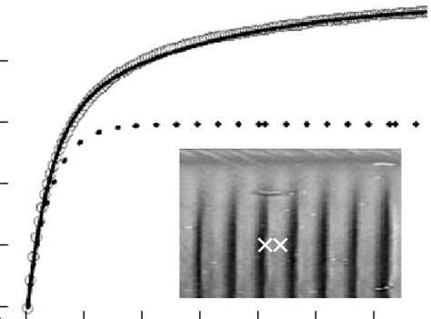 Evolution Of Refractive Index Modulation In Darkness Exposure Time And Download Scientific