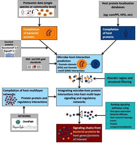 Graphical Representation Of A Typical Integrated Workflow Predicting Download Scientific