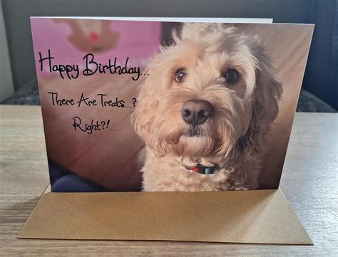 Cockapoo Happy Birthday Greeting Card Etsy Uk
