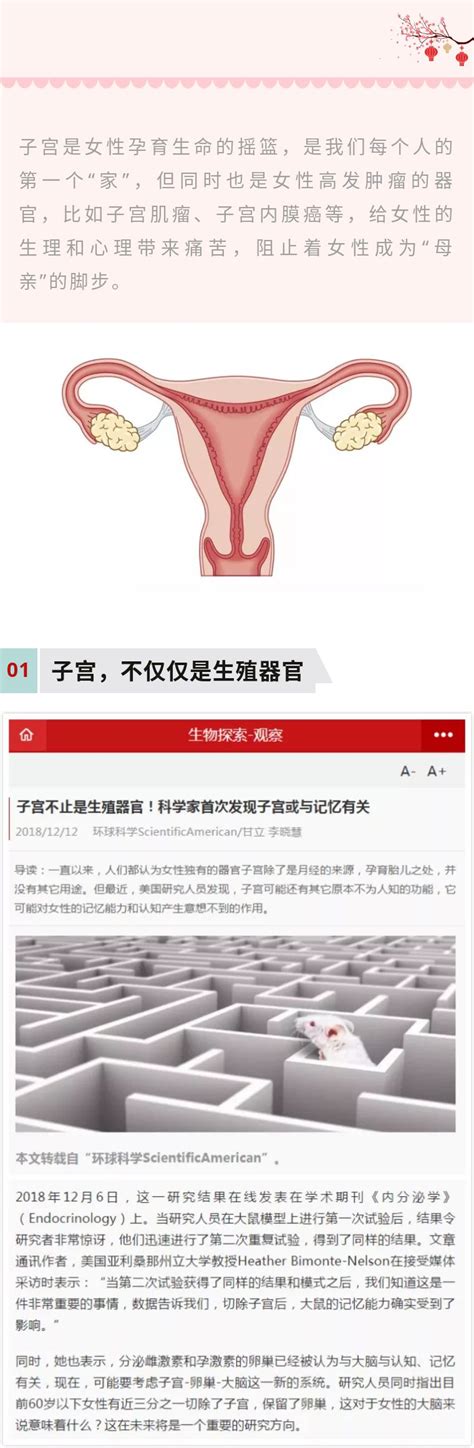 不要轻易切除子宫：它不仅是生殖器官，还影响着你的认知和记忆功能女性