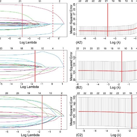 The Prediction Error Of The Lasso Regression Model As A Function Of The