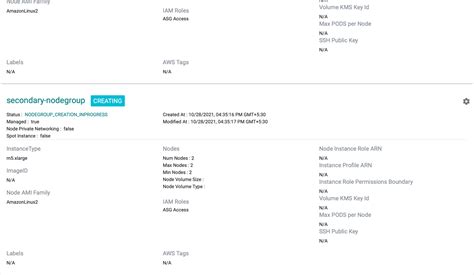 Kop Eks Clusters Nodegroups Rafay Product Documentation