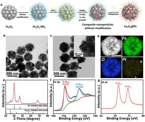 synthesis and characterization of fe3o4 pt nps a schematic download scientific diagram