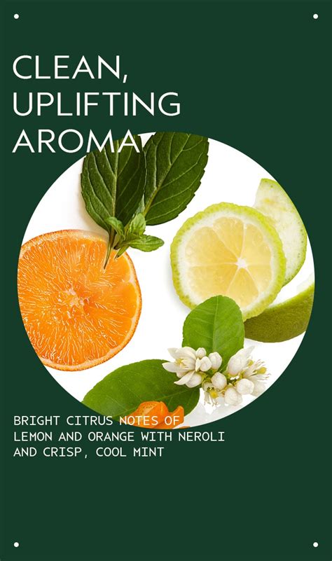 Scalp Solutions Refreshing Protective Mist Aveda