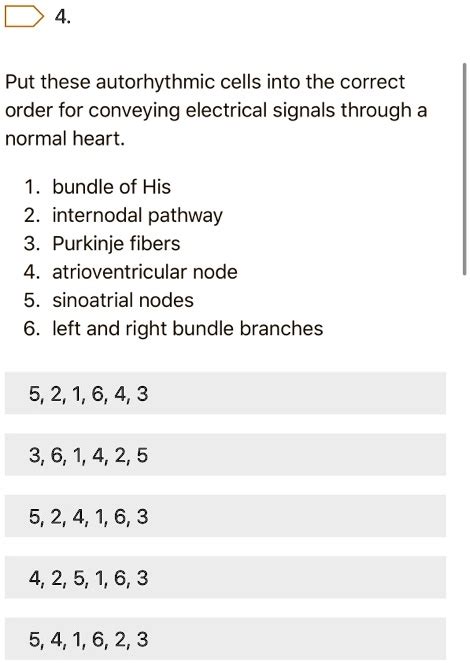solved put these autorhythmic cells into the correct order for conveying electrical signals