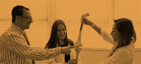 Physician Assistant Programs School Of Health Sciences