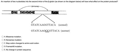 Solved A Missense Mutation B Nonsense Mutation C Stop