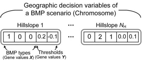 Schematic Of A Bmp Scenario Ie A Chromosome In The Genetic