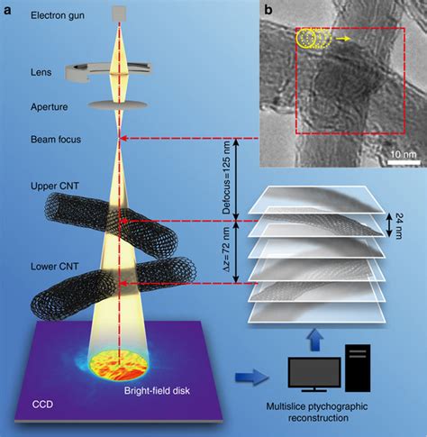 电子三维图像显微技术，用于三维成像。 Nature Communications X Mol