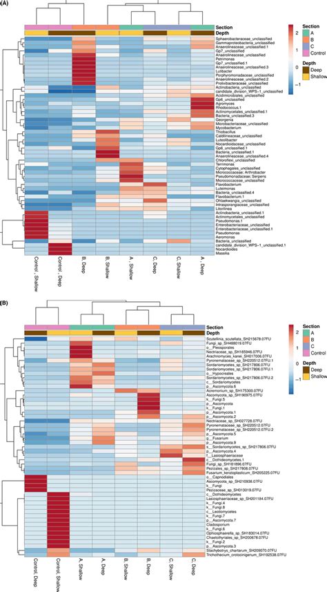A Clustering Of Top 50 Most Abundant Fungal Otus All Samples Download Scientific Diagram