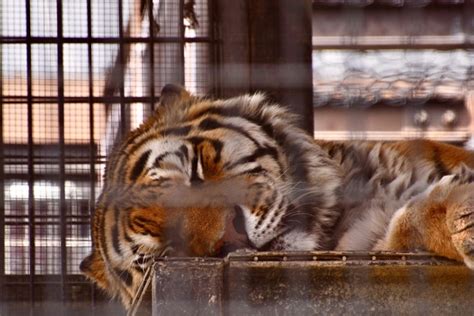 Nap By Niko Leitz （id：11761419） 写真共有サイト Photohito