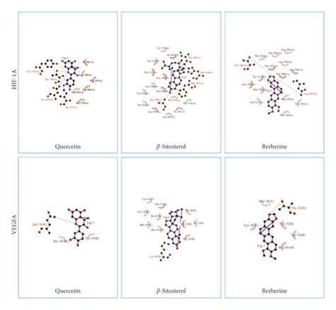 Results Of The 3d And 2d Docking Models Of 3 Major Active Compounds