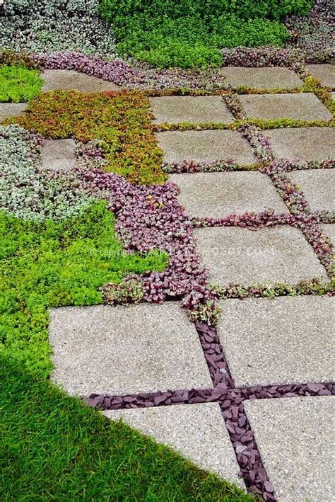 Flowers That Grow Between Pavers At James Velarde Blog