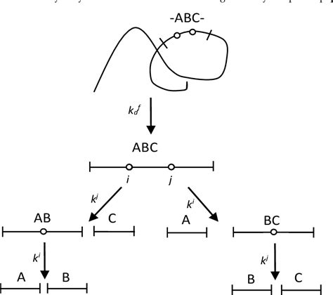 Figure 1 From Modeling Of The Peptide Release During Proteolysis Of β Lactoglobulin By Trypsin