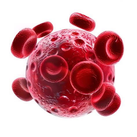 Hemoglobin Synthesis Images Free Download On Freepik