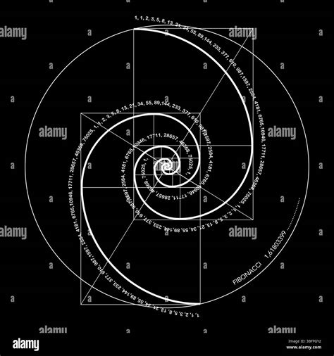 Fibonacci Sequence Spiral Golden Ratio Geometric Shapes Circles In Golden Proportion