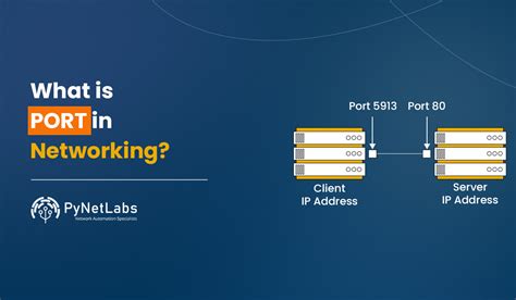 Control Plane Vs Data Plane Whats The Difference