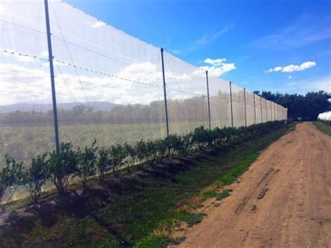 Windbreak Netting The Comprehensive Guide 2021 Eyouagro