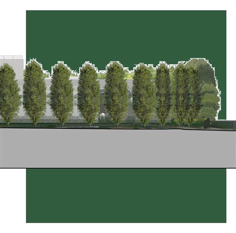 Black Spots In Rendered Viewports With Indirect Lighting With M1 Silicon Troubleshooting