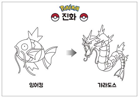 pokemon 포켓몬스터 색칠공부 도안 잉어킹 갸라도스