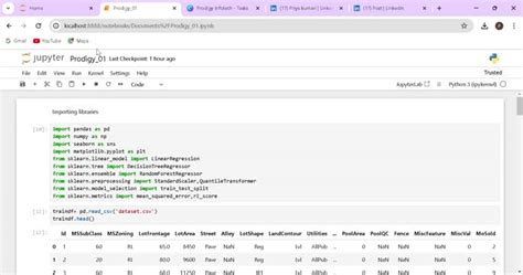 Connection Internship Prodigyinfotech Machinelearning Python
