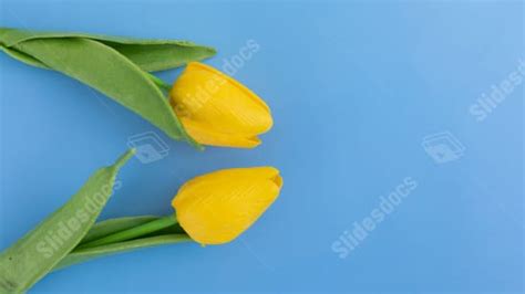 Green Tile Flower Tulip Traditional Festival Simple Powerpoint