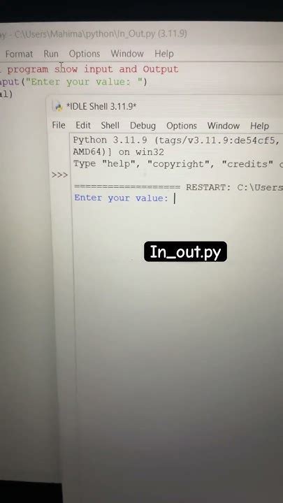 Python 🐍 Goviral Coding Programminglanguage Programming Python