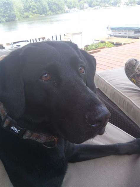 Scott Garrard Scottgarrard Twitter