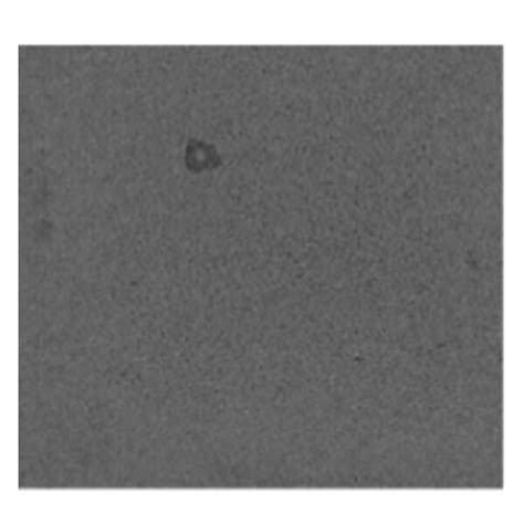 Examples Of Different Defect Types In The Ffsd Dataset A Crazing Download Scientific