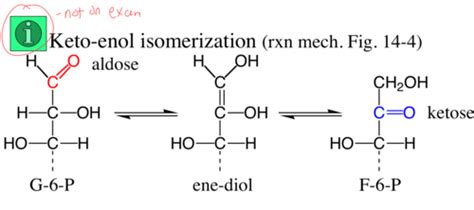Biochem 501 Unit 3 Flashcards Quizlet