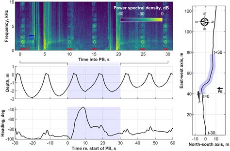 Measuring Behavioural Responses To Sound Playback Experiments With Download Scientific Diagram