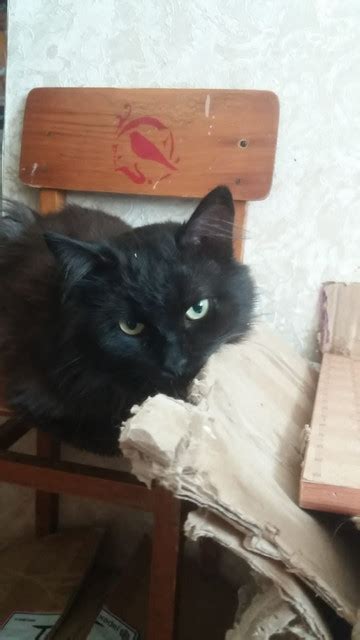 C33399 D0 09 B0 4 B4 E 90 F8 854 Bd1 C3 Ebeb Hosted At Imgbb — Imgbb