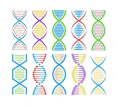 Premium Vector Dna Structure Icon Set Structure Molecule And Cell